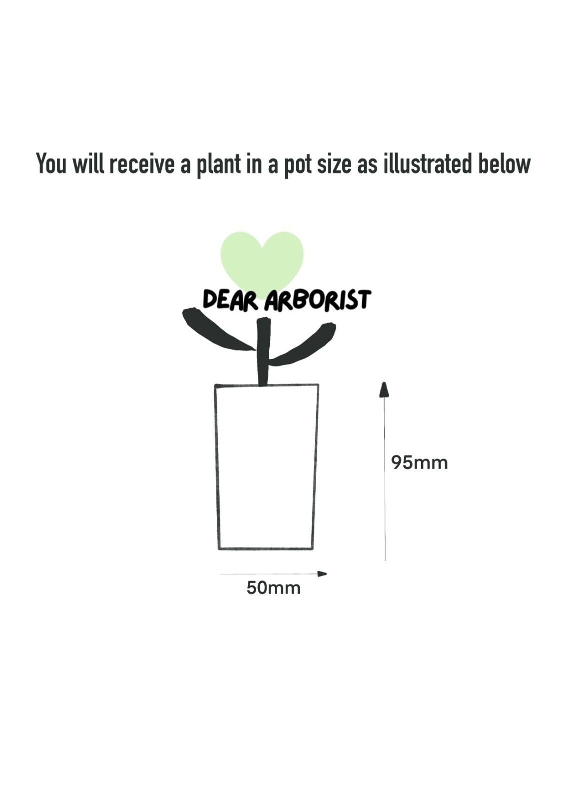 Native Atherton raspberry must have edible plant for bushfood garden ...